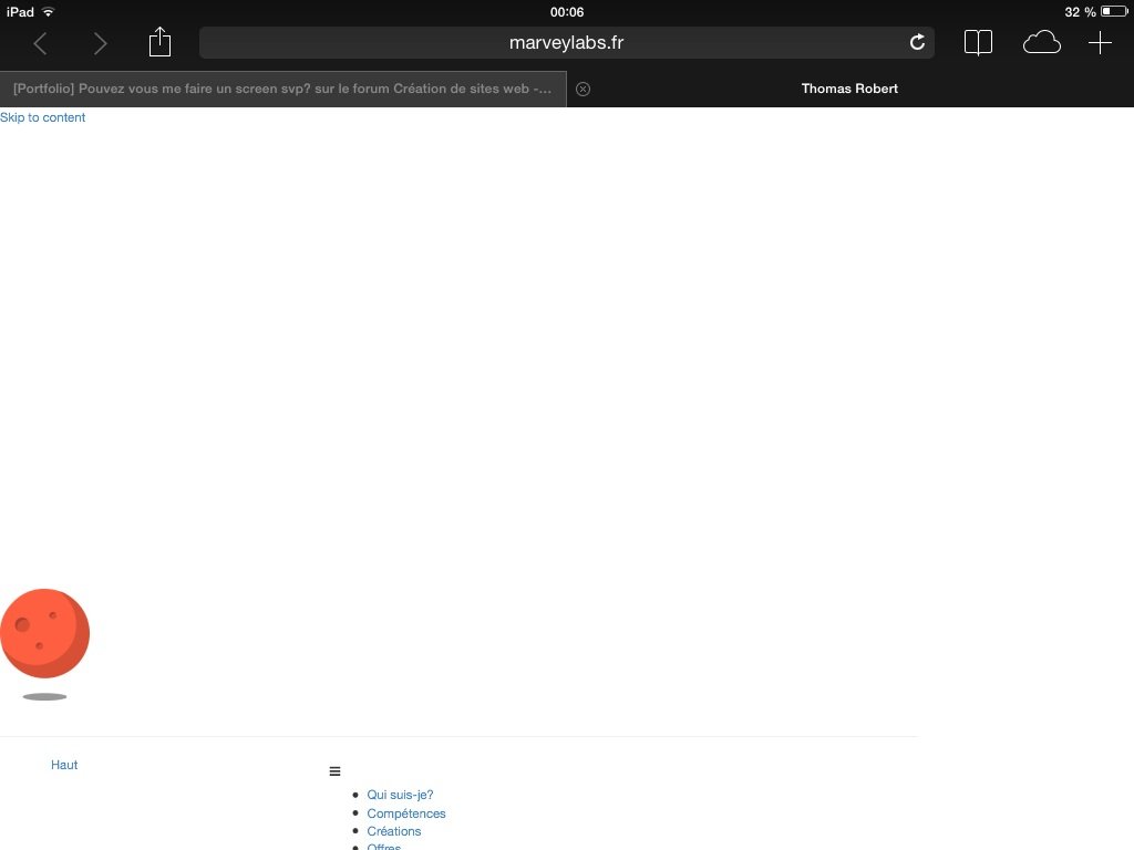 Wordpress My Css Doesnt Work With Opera Stack Overflow