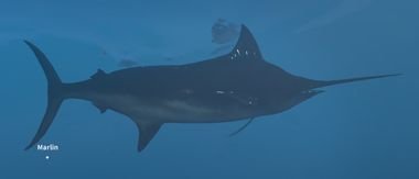 Marlin - Astuces et guides Stranded Deep - jeuxvideo.com