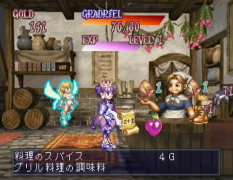 Manuel d'instructions – Explorer - Astuces et guides Princess Crown ...