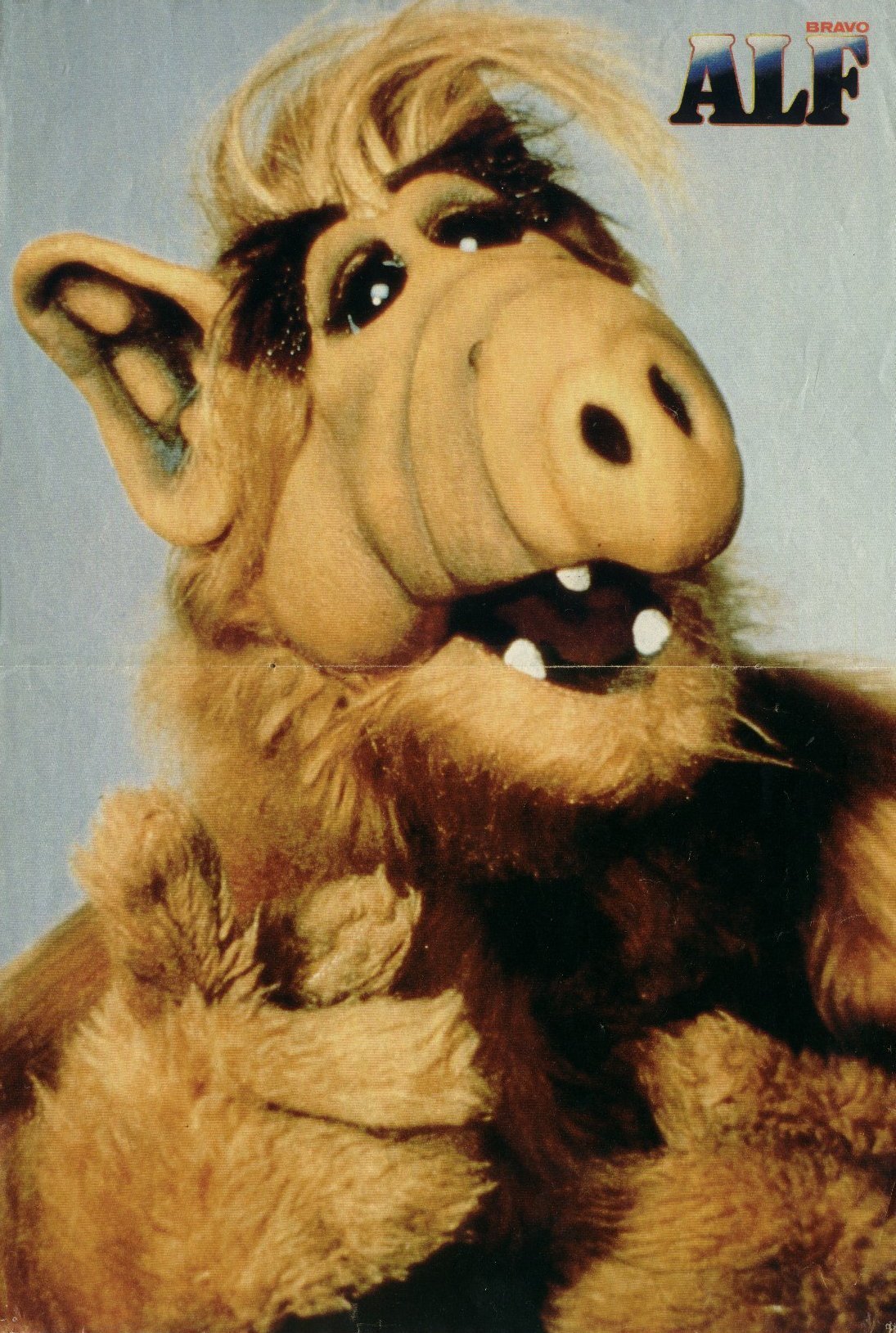 [Insolite] Le bar que va préférer Alf sur le forum Guerre des Consoles ...