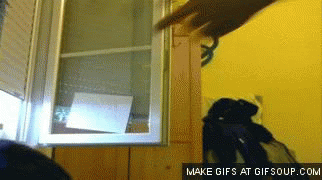 Go faire un gif de sa soeur :bave: sur le forum Blabla 15-18 ans - 22 ...