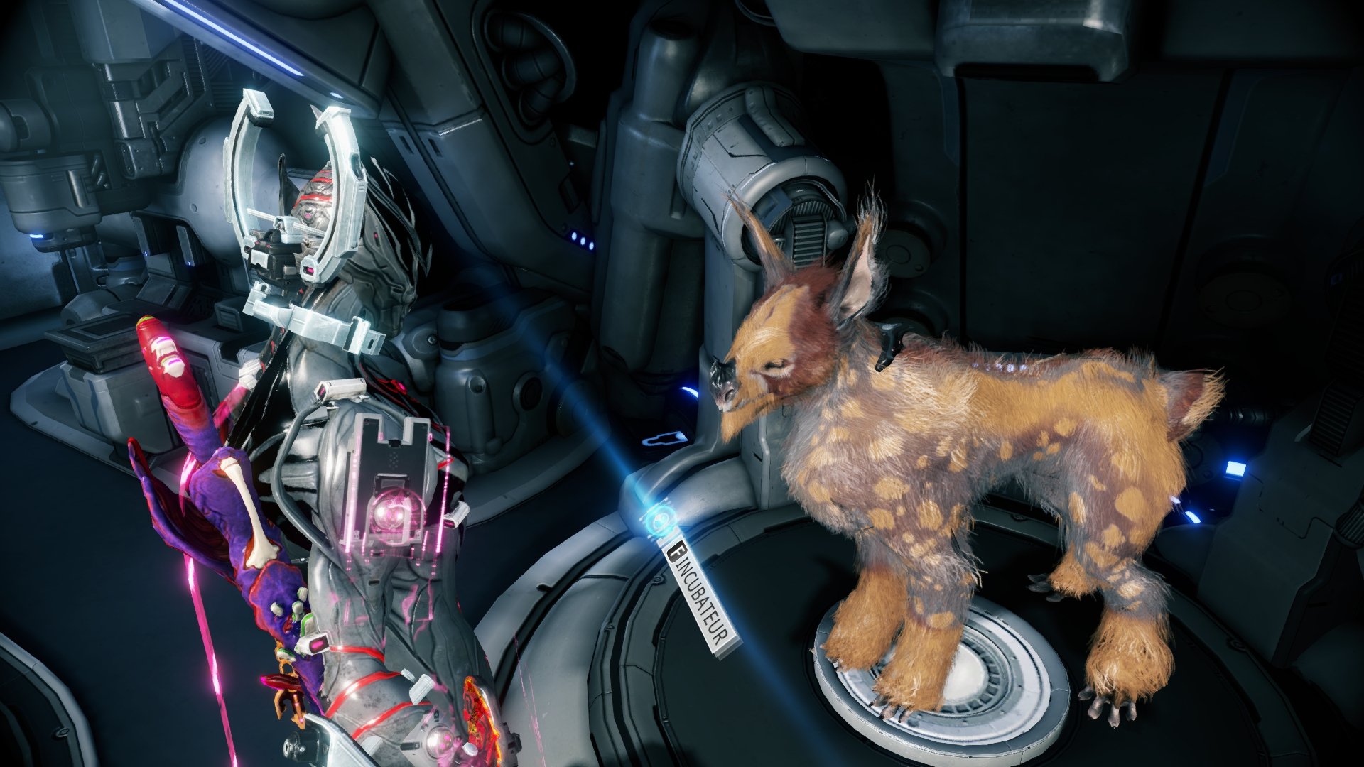 My little Kubrow sur le forum Warframe - 20-07-2014 00:00:25 - page 23 ...