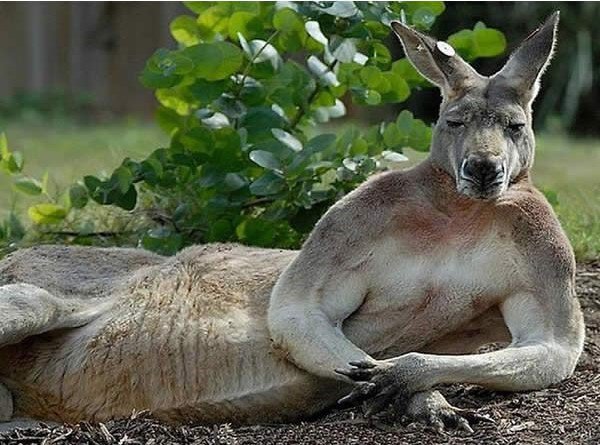 Toute ma classe a eu une grosse chiasse sur le forum Blabla 18-25 ans ...