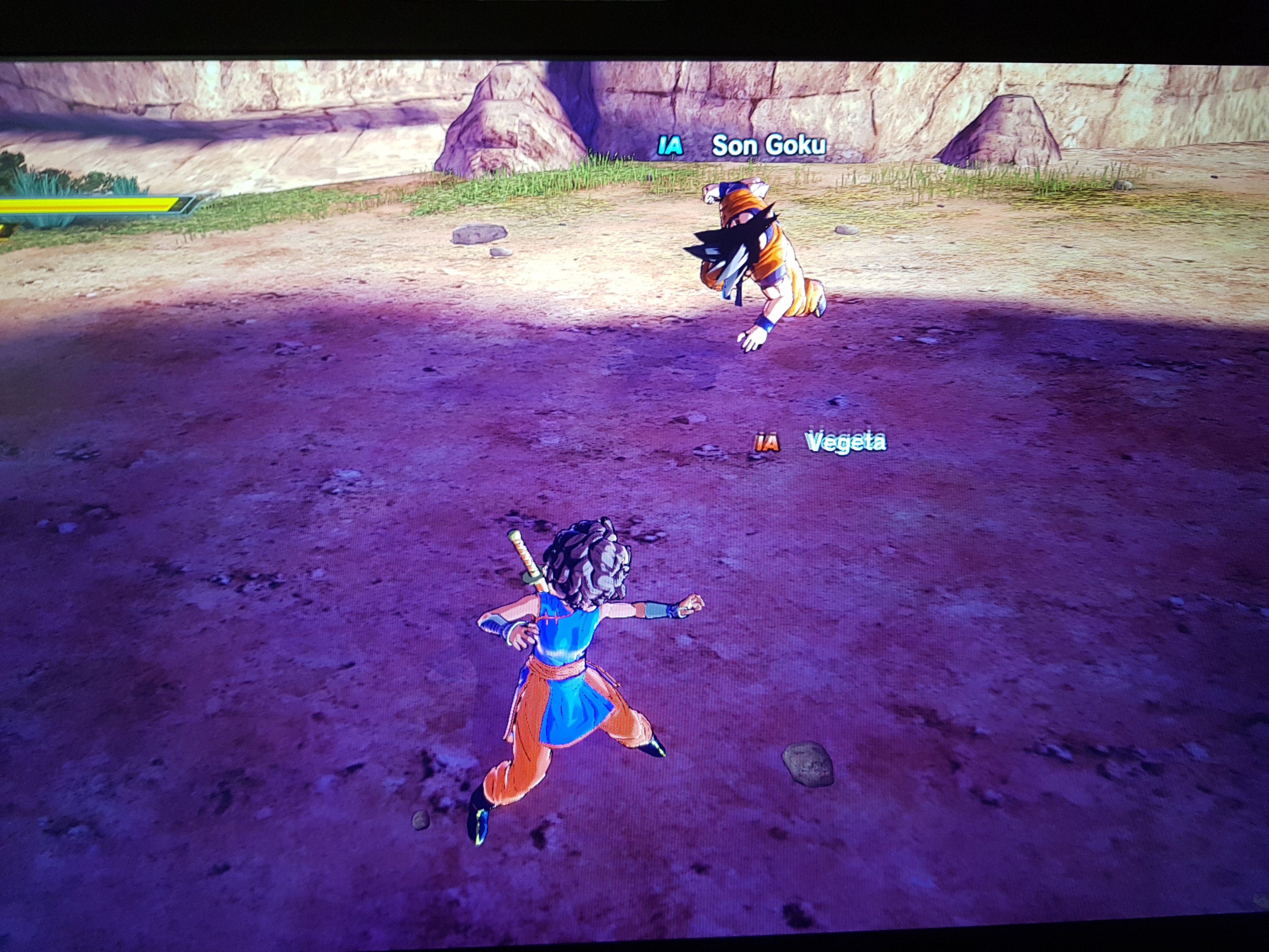 Pc bug personnage dans le sol ? ... sur le forum Dragon Ball Xenoverse ...
