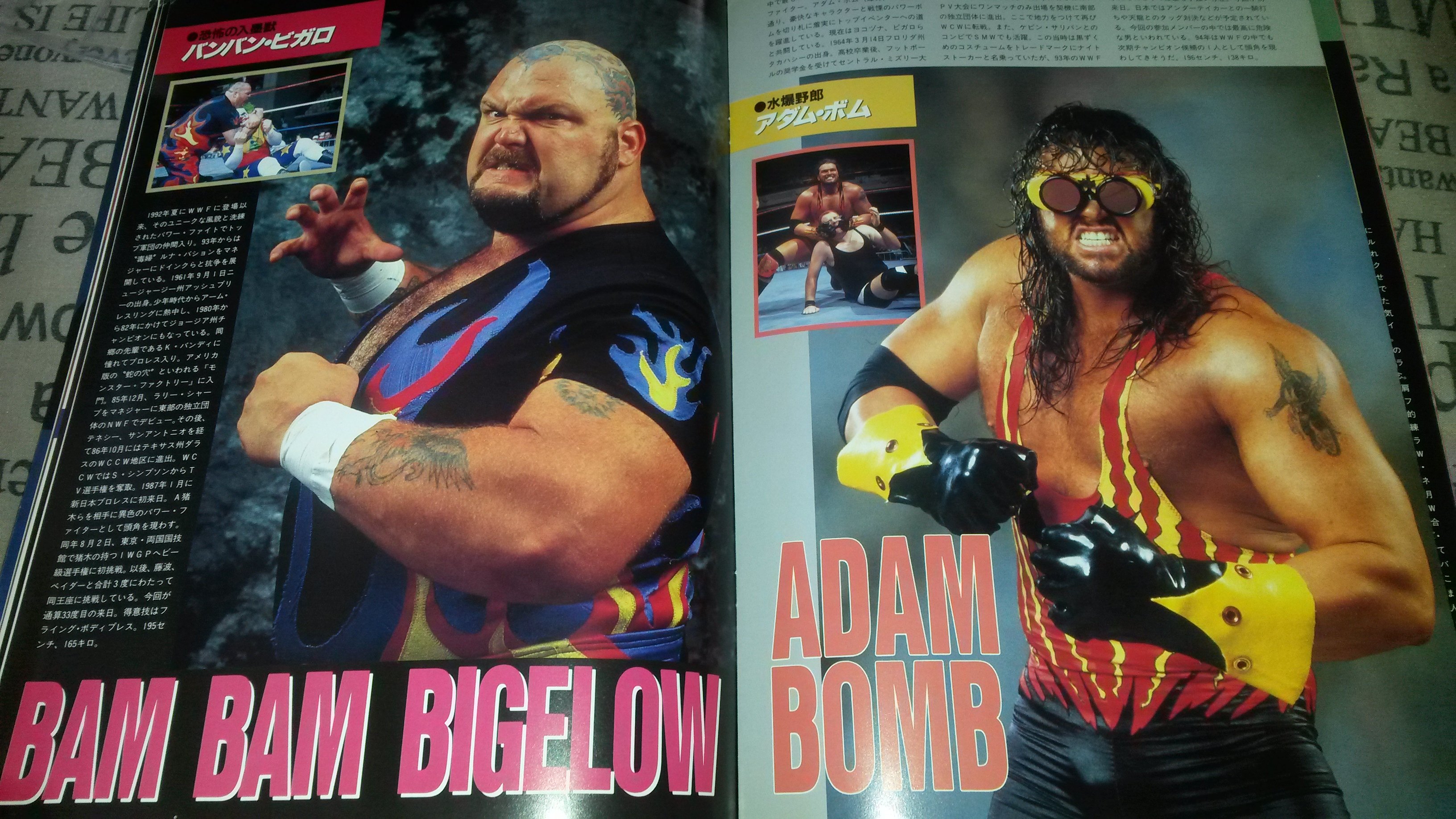 Découverte du Programme WWF Mania Tour 1994 au Japon. sur le forum ...