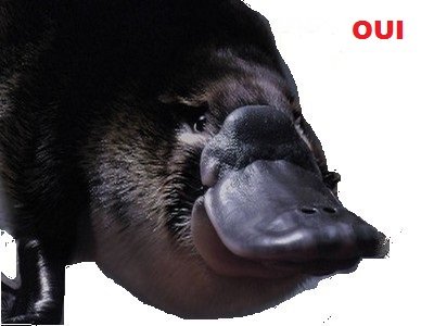 Prendre les transports en commun passé 18 ans, c'est possible ??? sur ...