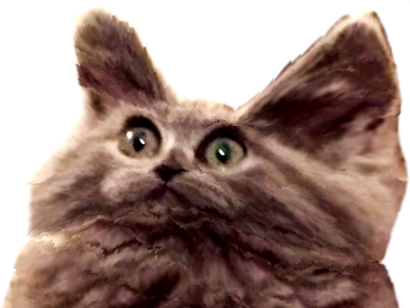 L'apeeeeeeeeeeeeeelle du seeeeeeeeeeex putain sur le forum Blabla 18-25 ...