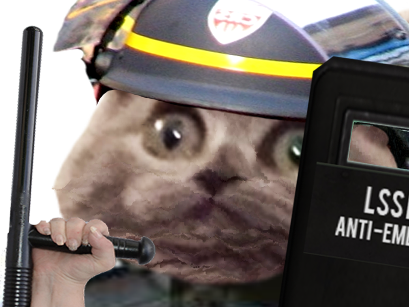 L'apeeeeeeeeeeeeeelle du seeeeeeeeeeex putain sur le forum Blabla 18-25 ...