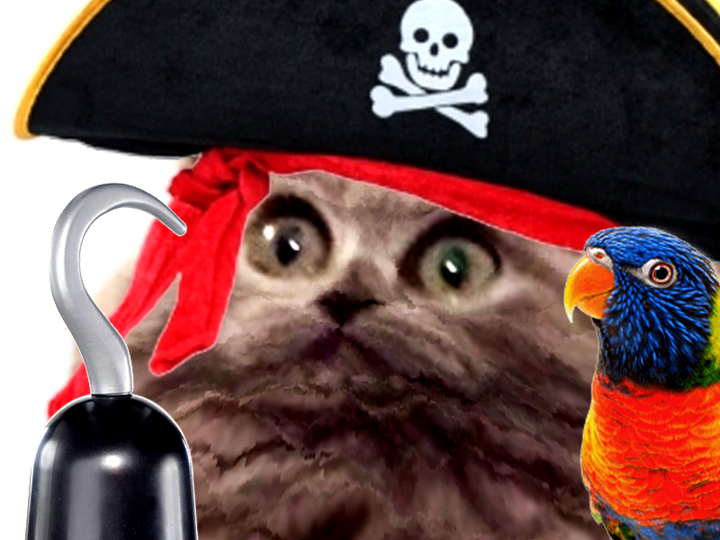 L'apeeeeeeeeeeeeeelle du seeeeeeeeeeex putain sur le forum Blabla 18-25 ...