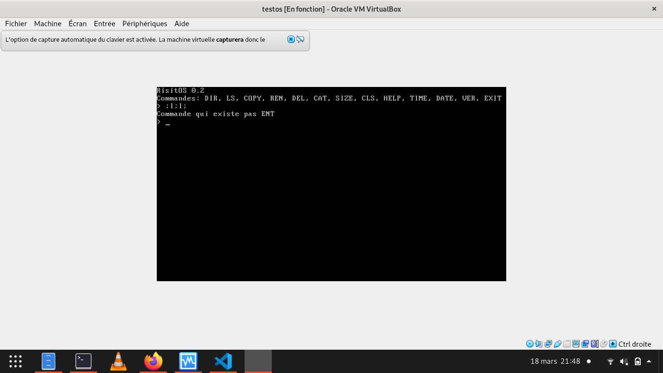 GitHub - ProTennix/RisitOS: Operating System based on mikeOS