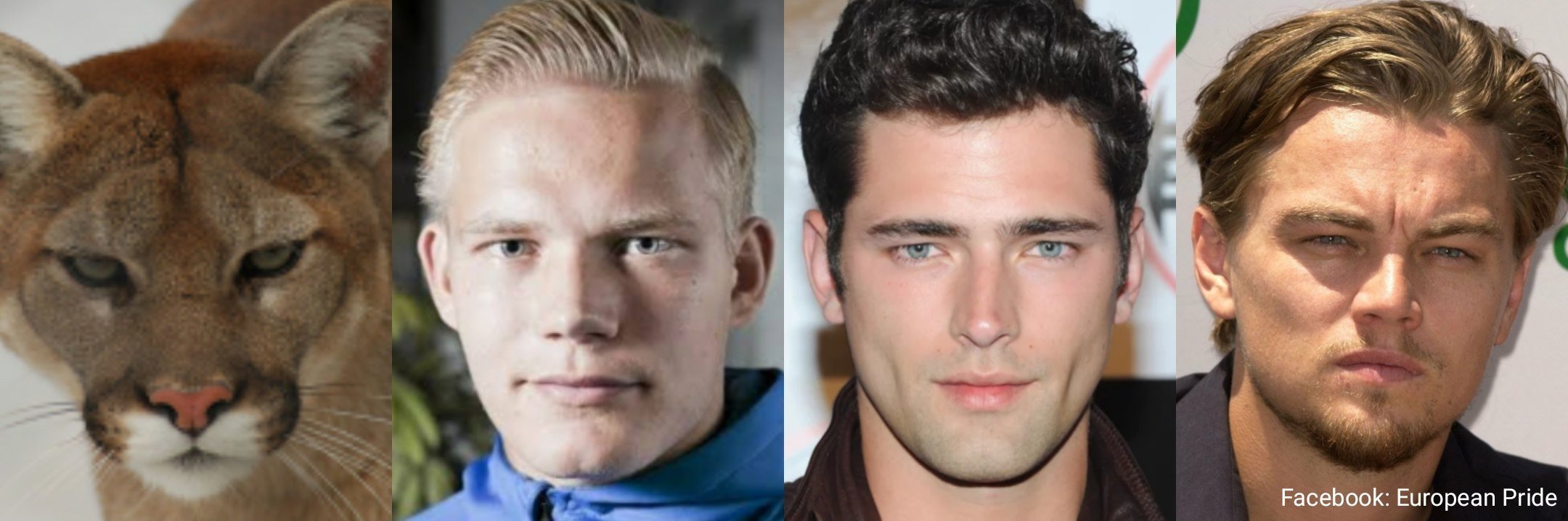 Les yeux de chasseur (Hunter Eyes) sur JvArchive forum 18-25 ...