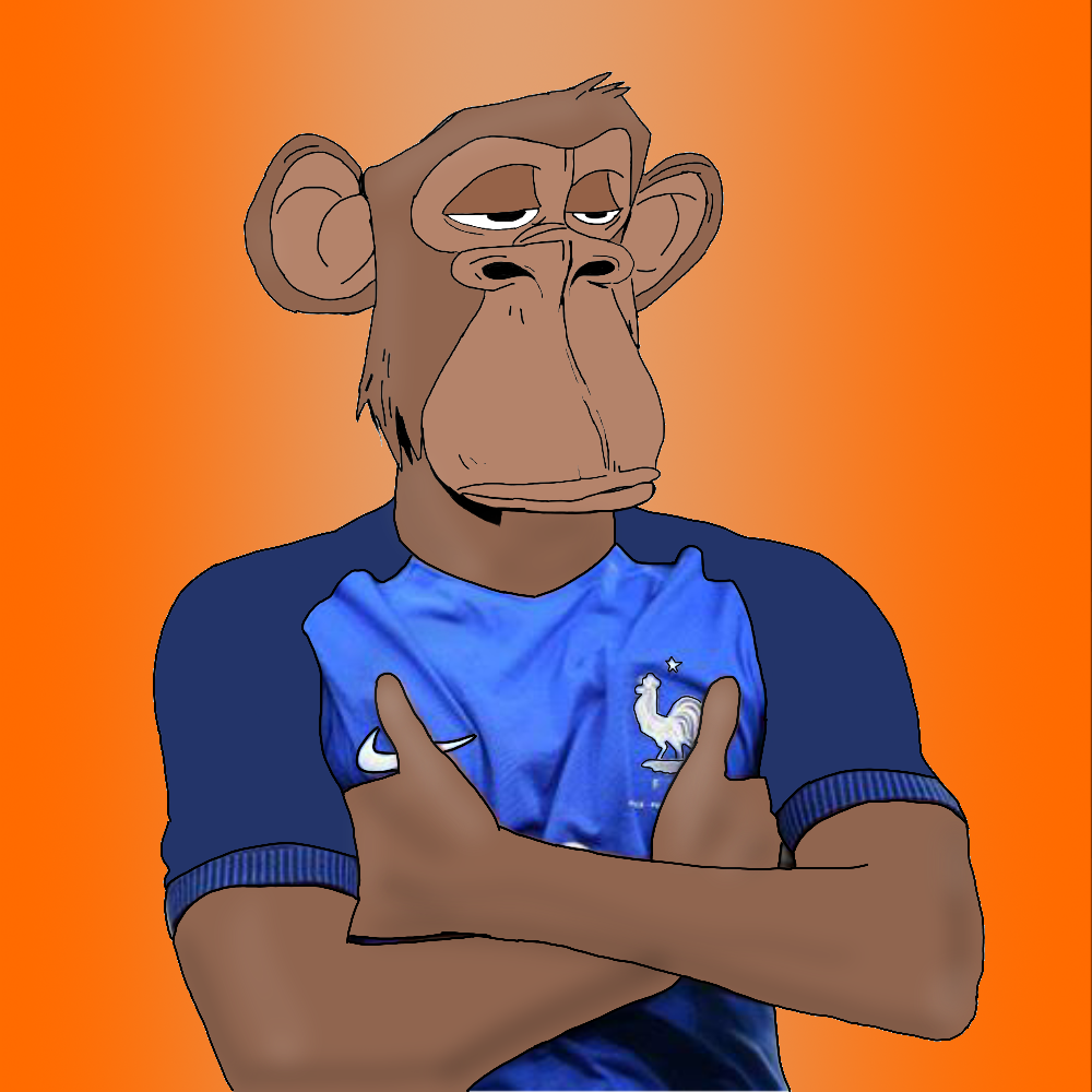 Mon NOUVEAU NFT rend FOU les PROLOS du FORUM sur le forum Blabla 18-25 ...