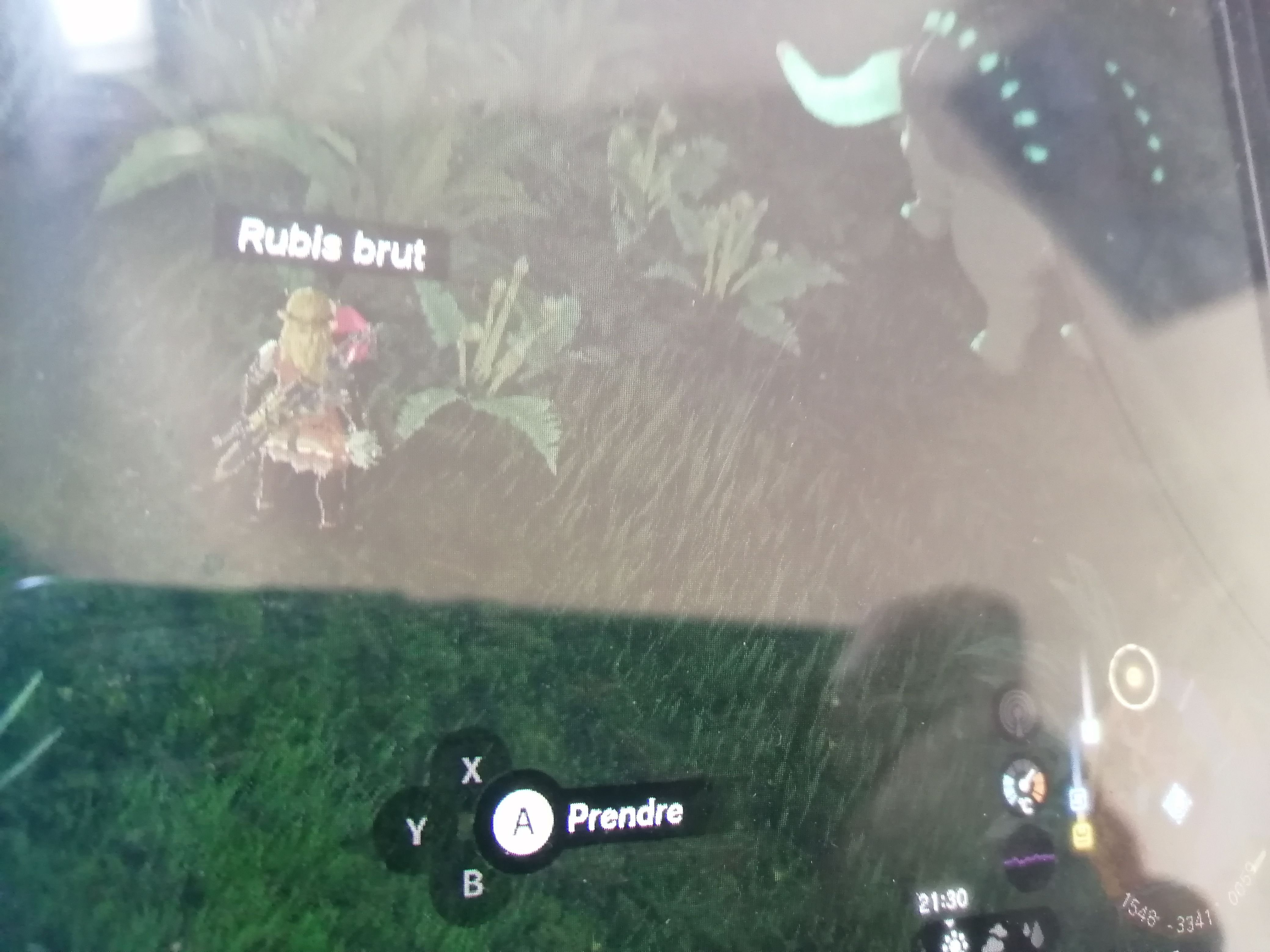 A quoi servent les créatures "Gondon" ? sur le forum The Legend of ...