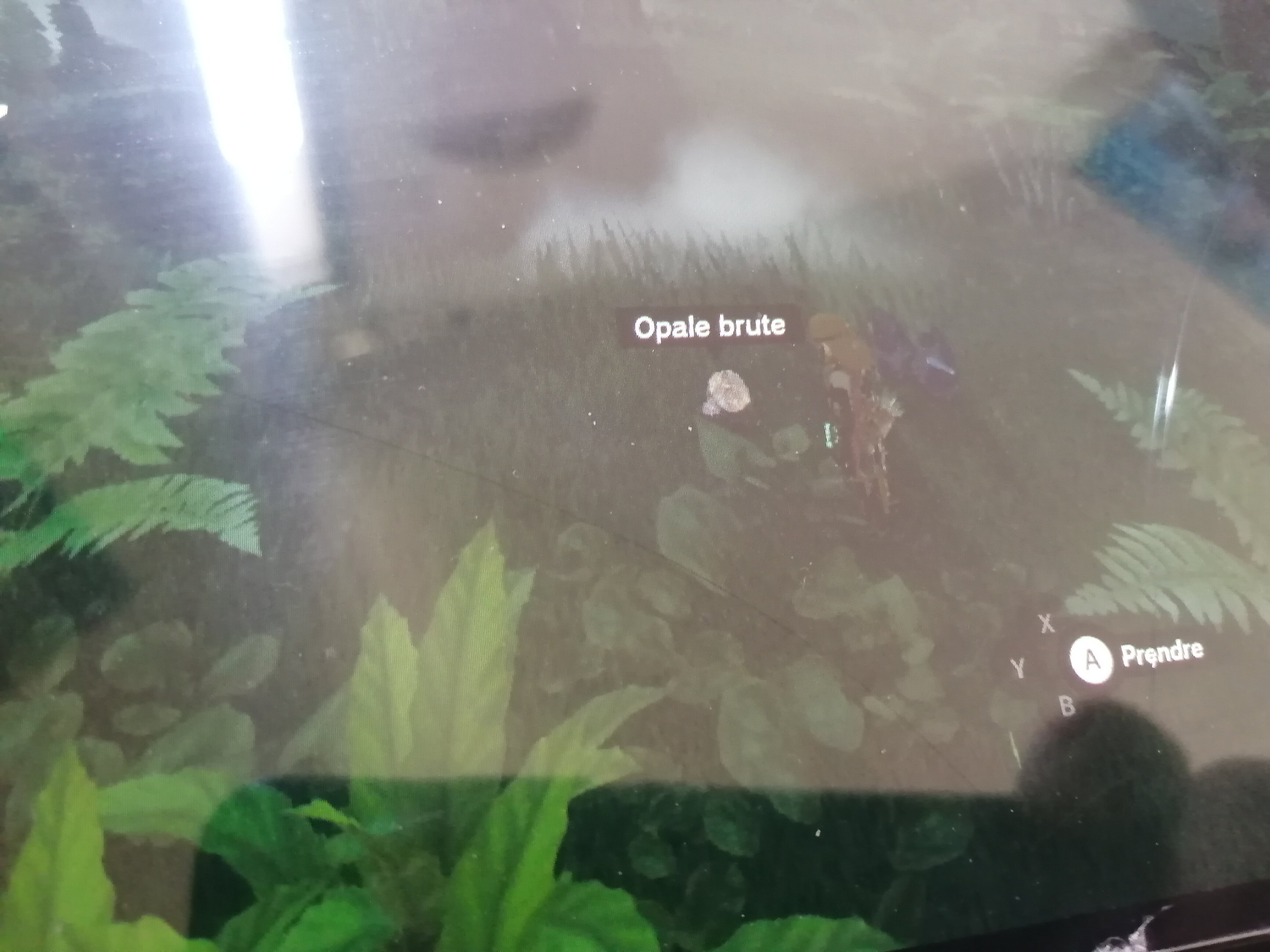 A quoi servent les créatures "Gondon" ? sur le forum The Legend of ...