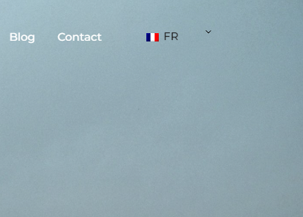 Custom CSS for Language Switcher | WordPress.org