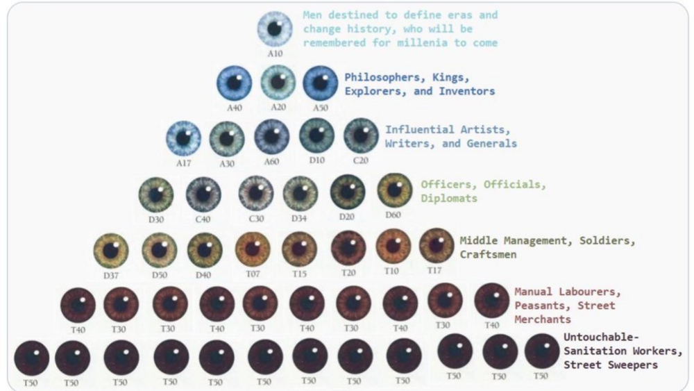 [TABLEAU] La couleur de vos yeux dépend de votre ADN génétique sur ...
