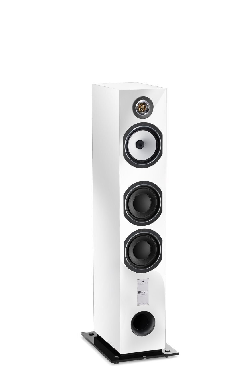 Aide comparatif Enceinte Triangle Borea et Esprit Ez - www.homecinema ...