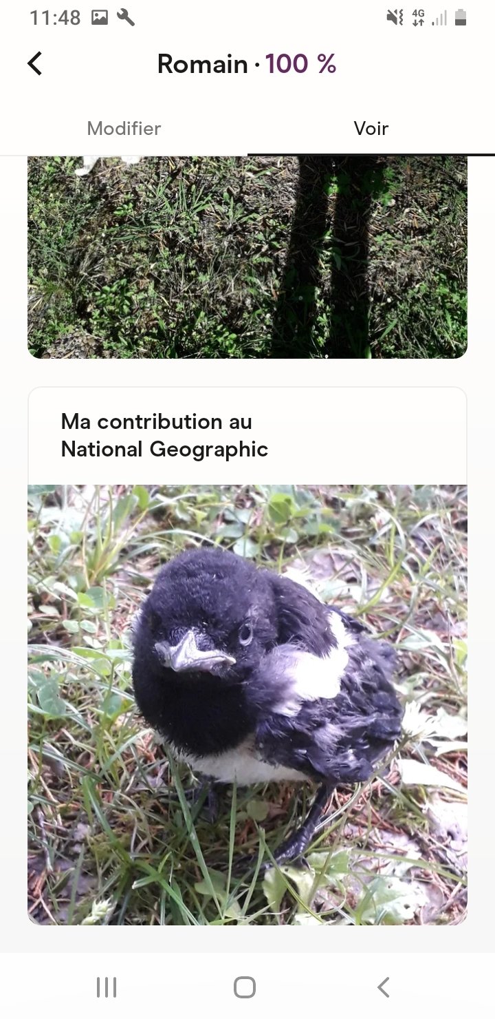[HINGE BOUCLE] Mon profil D'HONNÊTE HOMME sur le forum Blabla 18-25 ans ...
