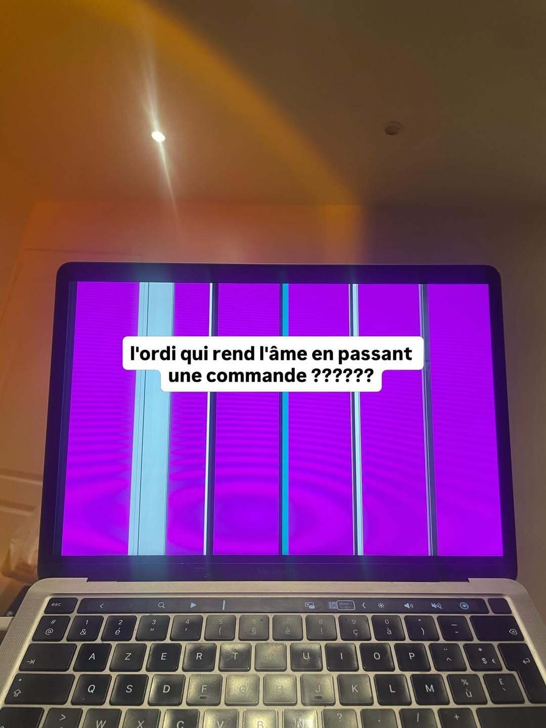 Cette ZOOMEUSE spoliée se rend compte qu'ouvrir un café c'est pas LOFI ...